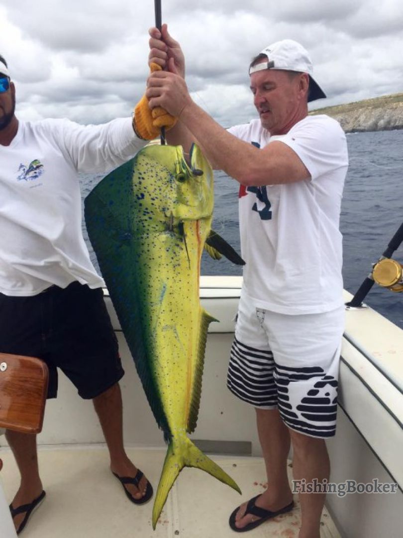 Picudo Sport Fishing, Cabo San Lucas, Mexico - FishingBooker.com