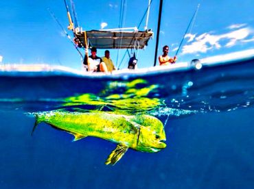 Top 10 fishing charters in Durban, South Africa - FishingBooker