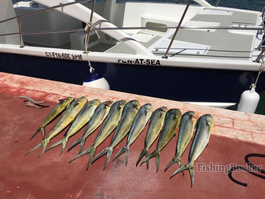 Top 10 fishing charters in Dominican Republic - FishingBooker