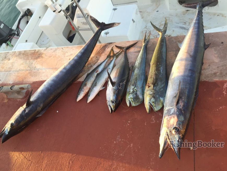Top 10 fishing charters in Dominican Republic - FishingBooker