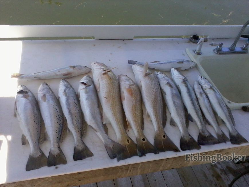 Fishing in Port Aransas, TX - FishingBooker